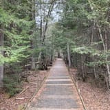 Machickanee Forest Northwest Loop, Wisconsin - 152 Reviews, Map | AllTrails