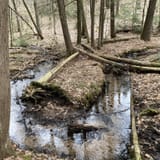 Machickanee Forest Northwest Loop, Wisconsin - 152 Reviews, Map | AllTrails