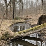 Machickanee Forest Northwest Loop, Wisconsin - 152 Reviews, Map | AllTrails