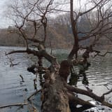 High Park Loop, Ontario, Canada - 1,154 Reviews, Map | AllTrails