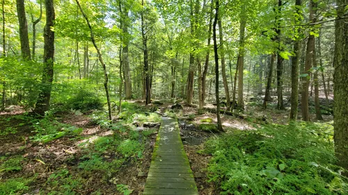 Best Hikes and Trails in Woodlands Legacy Fields Park | AllTrails