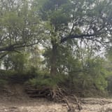 Cibolo Creek Main Trail, Texas - 667 Reviews, Map | AllTrails