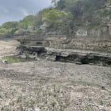 Cibolo Creek Main Trail, Texas - 667 Reviews, Map | AllTrails