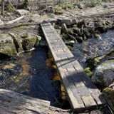 Stepstone Falls via Ben Utter Trail, Rhode Island - 1,566 Reviews, Map ...