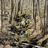 Stepstone Falls via Ben Utter Trail, Rhode Island - 1,566 Reviews, Map ...