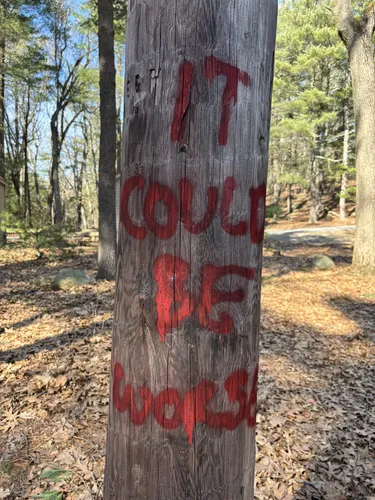 Best Hikes and Trails in Prospect Hill Park | AllTrails