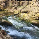 Greer Spring Trail, Missouri - 338 Reviews, Map | AllTrails