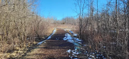 Best Forest Trails in Delson | AllTrails