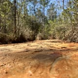 Canyon Loop Trail, Georgia - 2,173 Reviews, Map | AllTrails