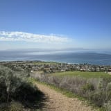 Forrestal Preserve Loop, California - 1,283 Reviews, Map | AllTrails
