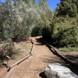 Oak Glen Preserve Trails, California - 792 Reviews, Map | AllTrails