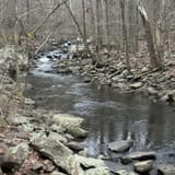 Cedar Falls Trail, Arkansas - 1,860 Reviews, Map | AllTrails