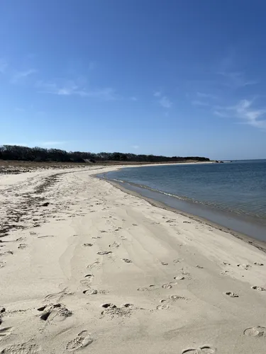 Best Hikes and Trails in Crowes Pasture Conservation Area | AllTrails