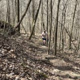 Fiery Gizzard Loop, Tennessee - 1,146 Reviews, Map | AllTrails