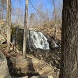 Ramapo Reservation Loop Trail, New Jersey - 1,648 Reviews, Map | AllTrails