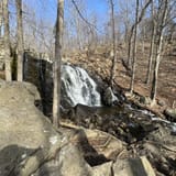 Ramapo Reservation Loop Trail, New Jersey - 1,661 Reviews, Map | AllTrails