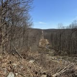 Ramapo Reservation Loop Trail, New Jersey - 1,723 Reviews, Map | AllTrails