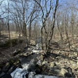 Ramapo Reservation Loop Trail, New Jersey - 1,723 Reviews, Map | AllTrails