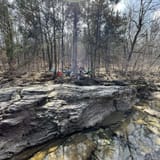 Blair Ridge, Missouri - 377 Reviews, Map | AllTrails