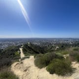 Runyon Canyon Trail, California - 7,904 Reviews, Map | AllTrails