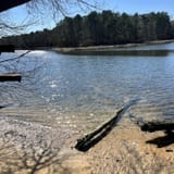 Mashpee River Woodlands North Trail, Massachusetts - 618 Reviews, Map ...
