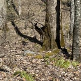 Ramsey Cascades Trail, Tennessee - 2,236 Reviews, Map | AllTrails