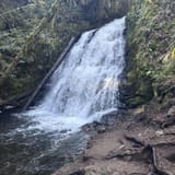 Dickerson Falls, Washington - 2,329 Reviews, Map | AllTrails