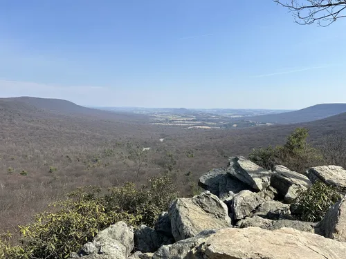 Best Trail Running Trails in Hawk Mountain Sanctuary | AllTrails