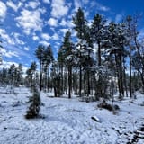 Ice Cave via Blue Ridge Cave Trail No. 608, Arizona - 544 Reviews, Map ...