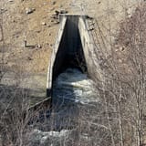 Hop Brook Dam Loop, Connecticut - 550 Reviews, Map | AllTrails