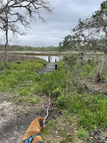 Best Hikes and Trails in Buccaneer State Park | AllTrails