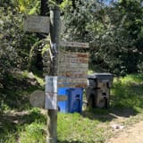 Fryman Canyon Trail, California - 6,148 Reviews, Map | AllTrails