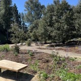 Fryman Canyon Trail, California - 6,148 Reviews, Map | AllTrails