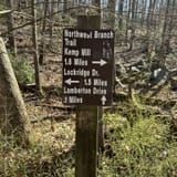 Rachel Carson Greenway and Northwest Branch Trail, Maryland - 1,353 ...