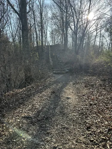 Best Walking Trails In Seekonk Alltrails