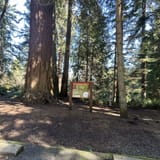 Five Mile Drive, Washington - 945 Reviews, Map | AllTrails