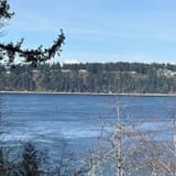 Five Mile Drive, Washington - 945 Reviews, Map | AllTrails