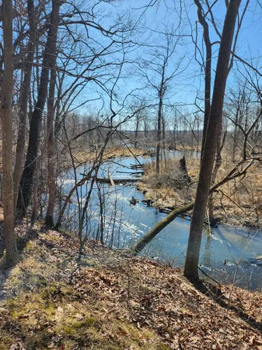 Best Hikes and Trails in Fawn River Nature Preserve | AllTrails