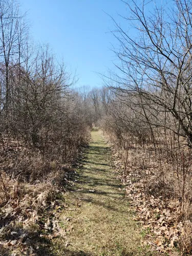 Best Hikes and Trails in Fawn River Nature Preserve | AllTrails