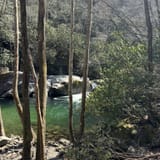 Mouse Creek Falls via Big Creek Trail, Tennessee - 2,646 Reviews, Map ...