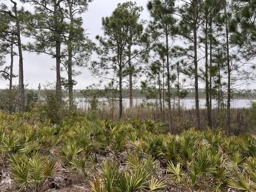 Best Hikes and Trails in Bon Secour National Wildlife Refuge | AllTrails