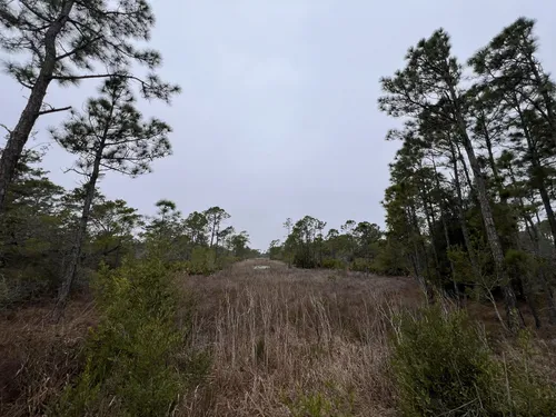 Best Hikes and Trails in Bon Secour National Wildlife Refuge | AllTrails