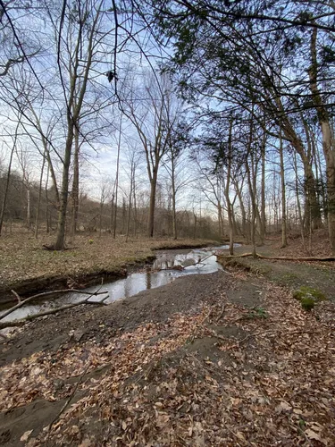 Best Hikes and Trails in Ashland Nature Center | AllTrails