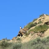 Autumn Ridge Trail, California - 397 Reviews, Map | AllTrails