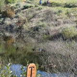 Autumn Ridge Trail, California - 397 Reviews, Map | AllTrails