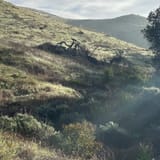 Autumn Ridge Trail, California - 379 Reviews, Map | AllTrails