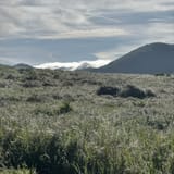 Autumn Ridge Trail, California - 397 Reviews, Map | AllTrails