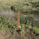 Autumn Ridge Trail, California - 397 Reviews, Map | AllTrails