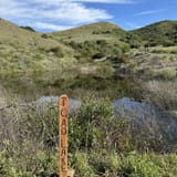 Autumn Ridge Trail, California - 397 Reviews, Map | AllTrails
