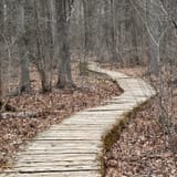 Pinhey Forest 31 Trail, Ontario, Canada - 616 Reviews, Map | AllTrails